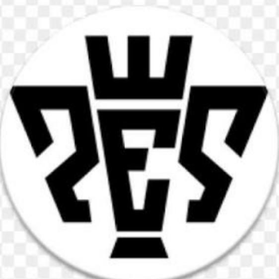 Stages of PES