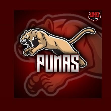 Stages of XTREINO PUMAS