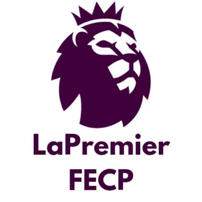 Stages of LaPremier FECP T2