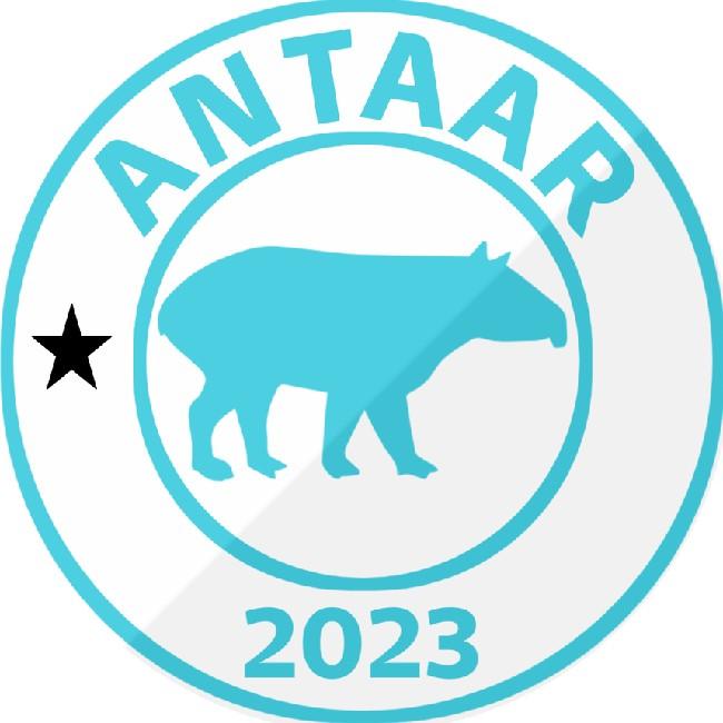 Statistics of Copa Amadora X - 07/2023