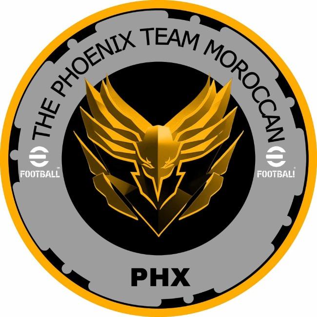 THE PHOENIX TEAM details