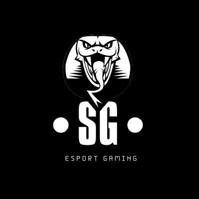 Stages of Sg Sport Gaming