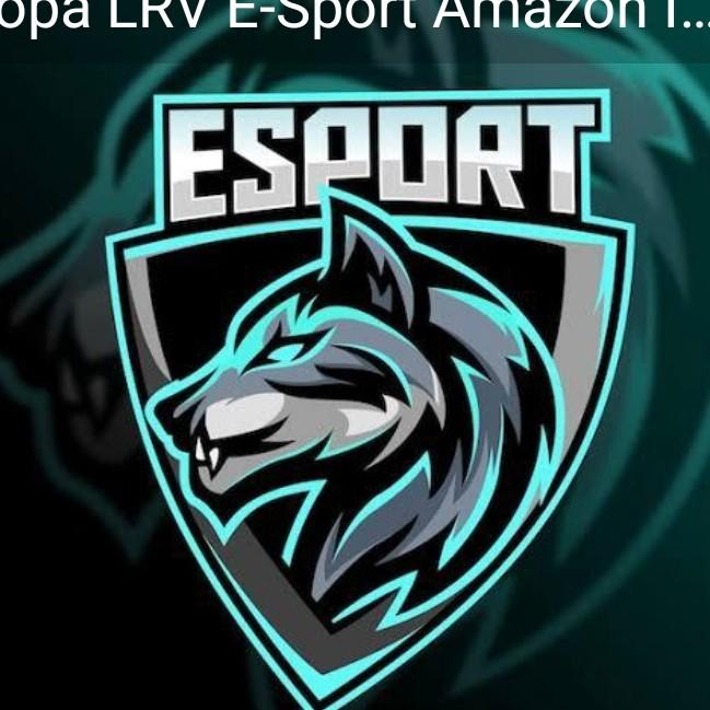 Copa MK1 Amazon Info -E-SPORTS LRV - Challenge Place