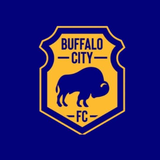 Cleveland FC vs Buffalo City FC - follow this match